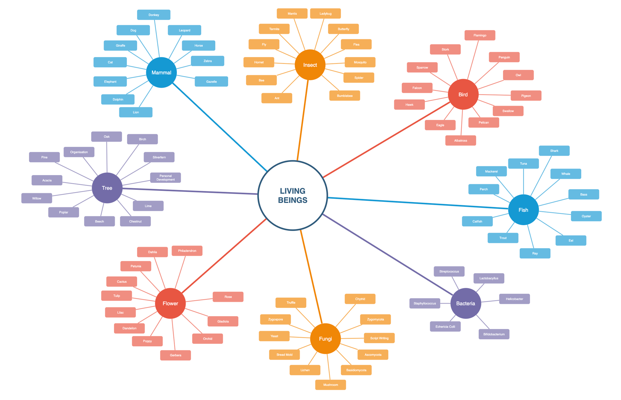 #1 Image to Draw.io Converter - Transform Screenshots & Diagrams in 1 ...